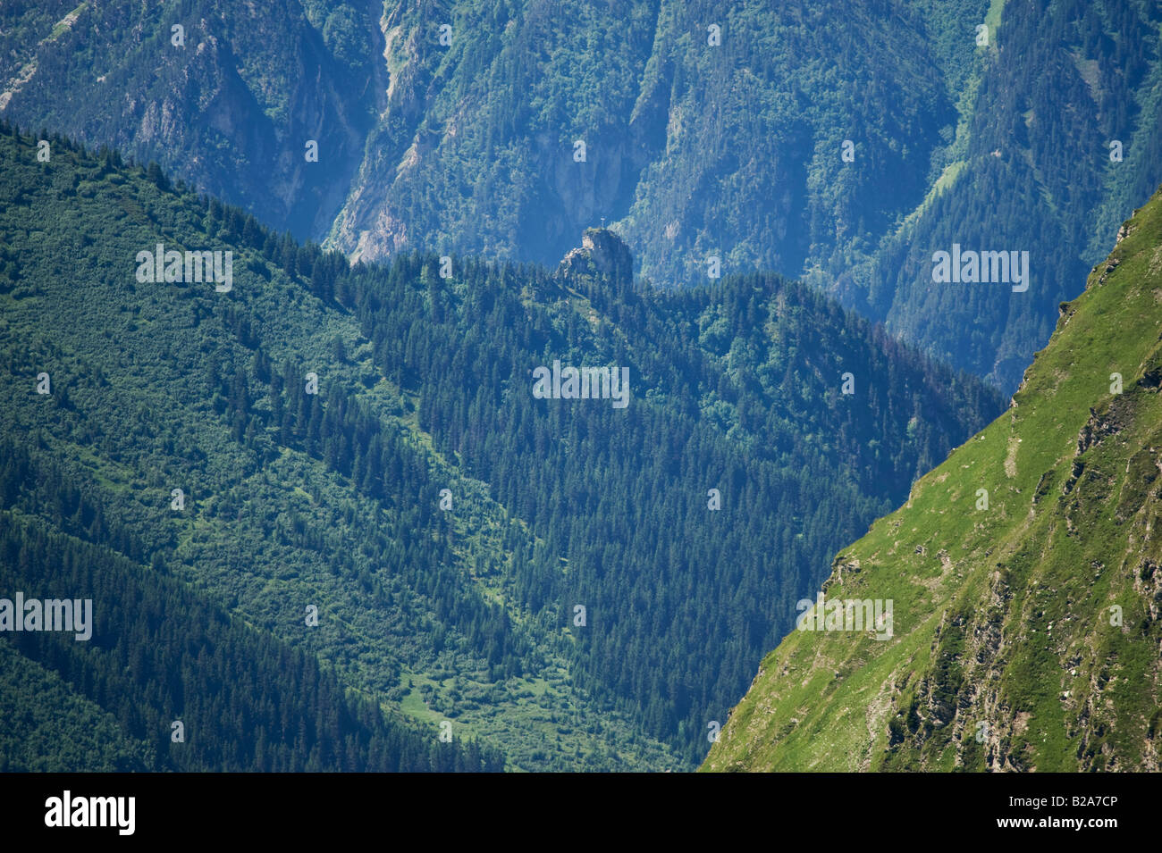 forest covered alpine mountain slopes Stock Photo - Alamy