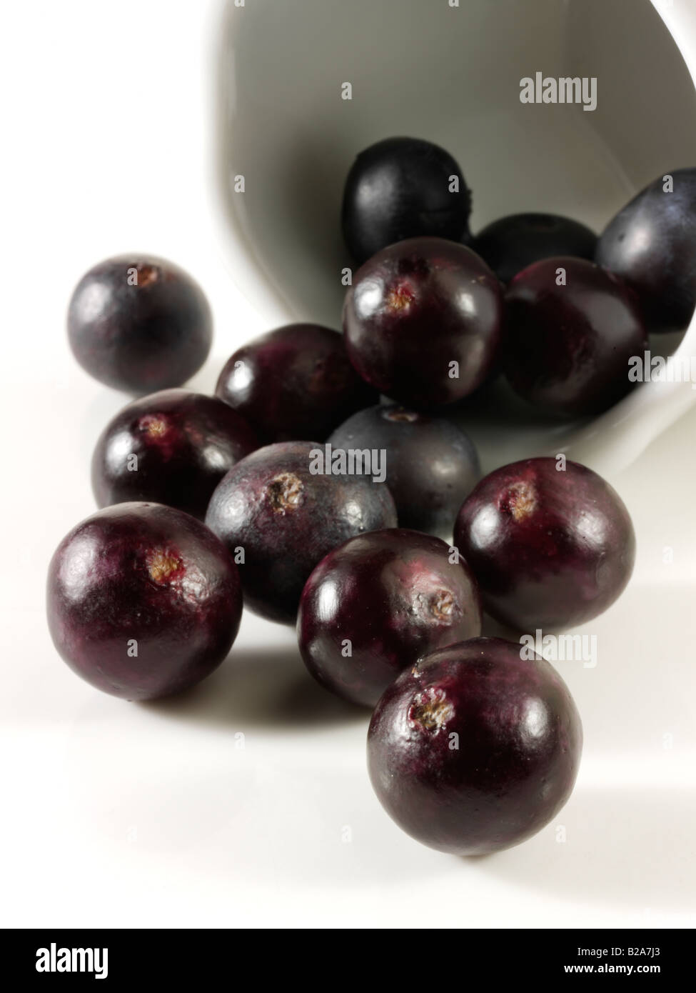 Whole acai berries hi-res stock photography and images - Alamy