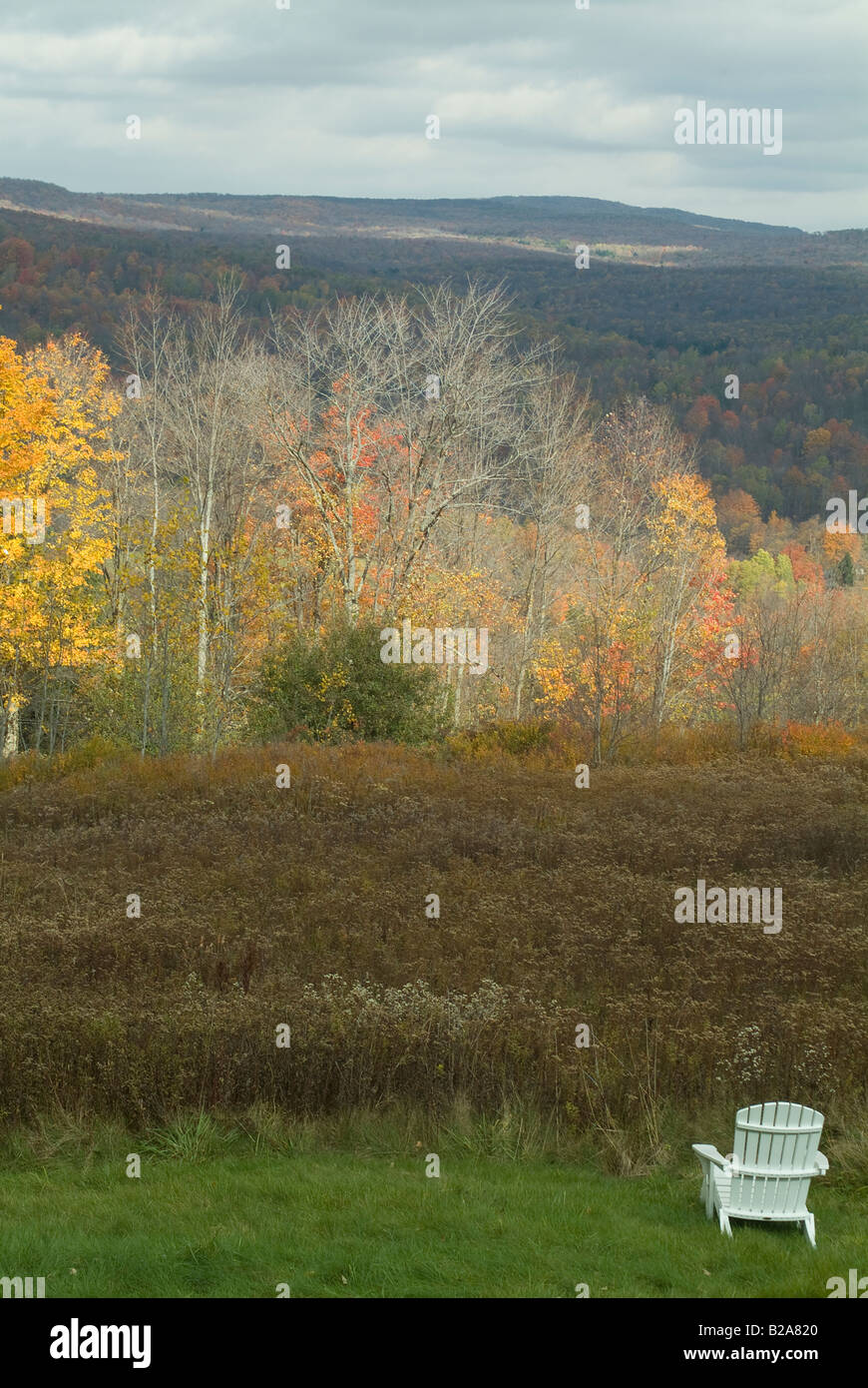 Edge of a meadow hi-res stock photography and images - Alamy