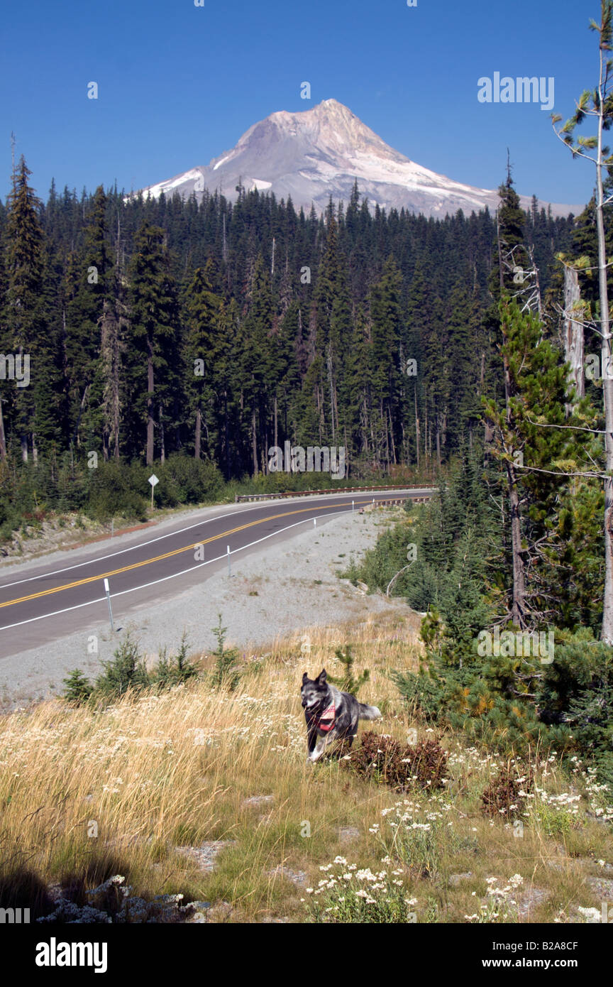 Highway 26 south of Mt. Hood looking north to the mountain with Dog ...