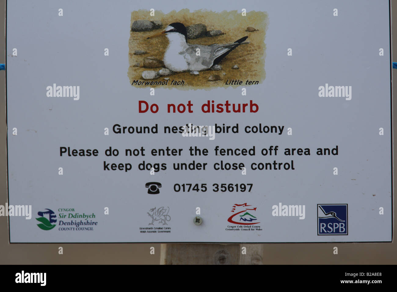 LITTLE TERN COLONY WARNING SIGN FOR NESTING Stock Photo - Alamy