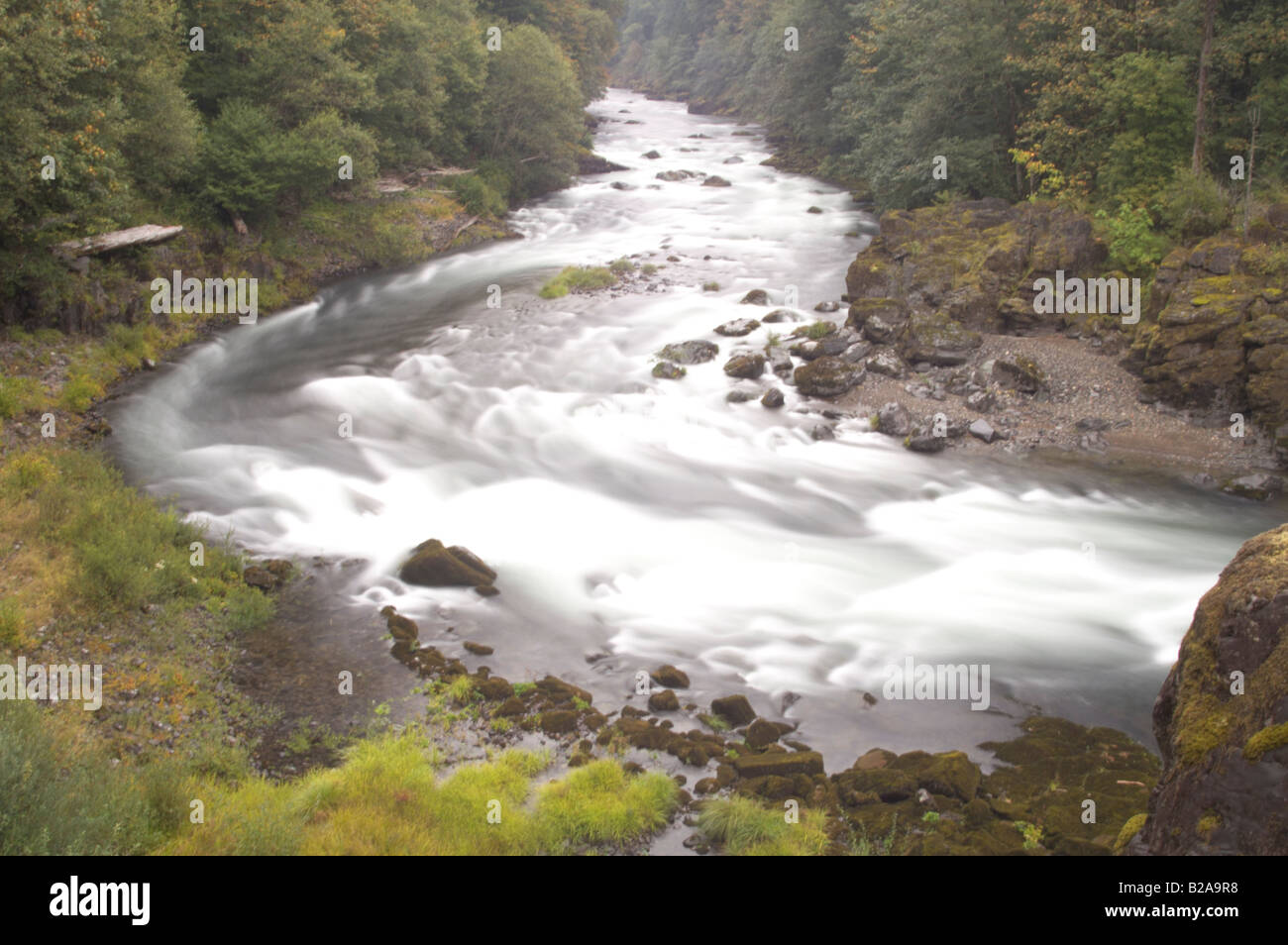 Oregon river bank nature hi-res stock photography and images - Alamy
