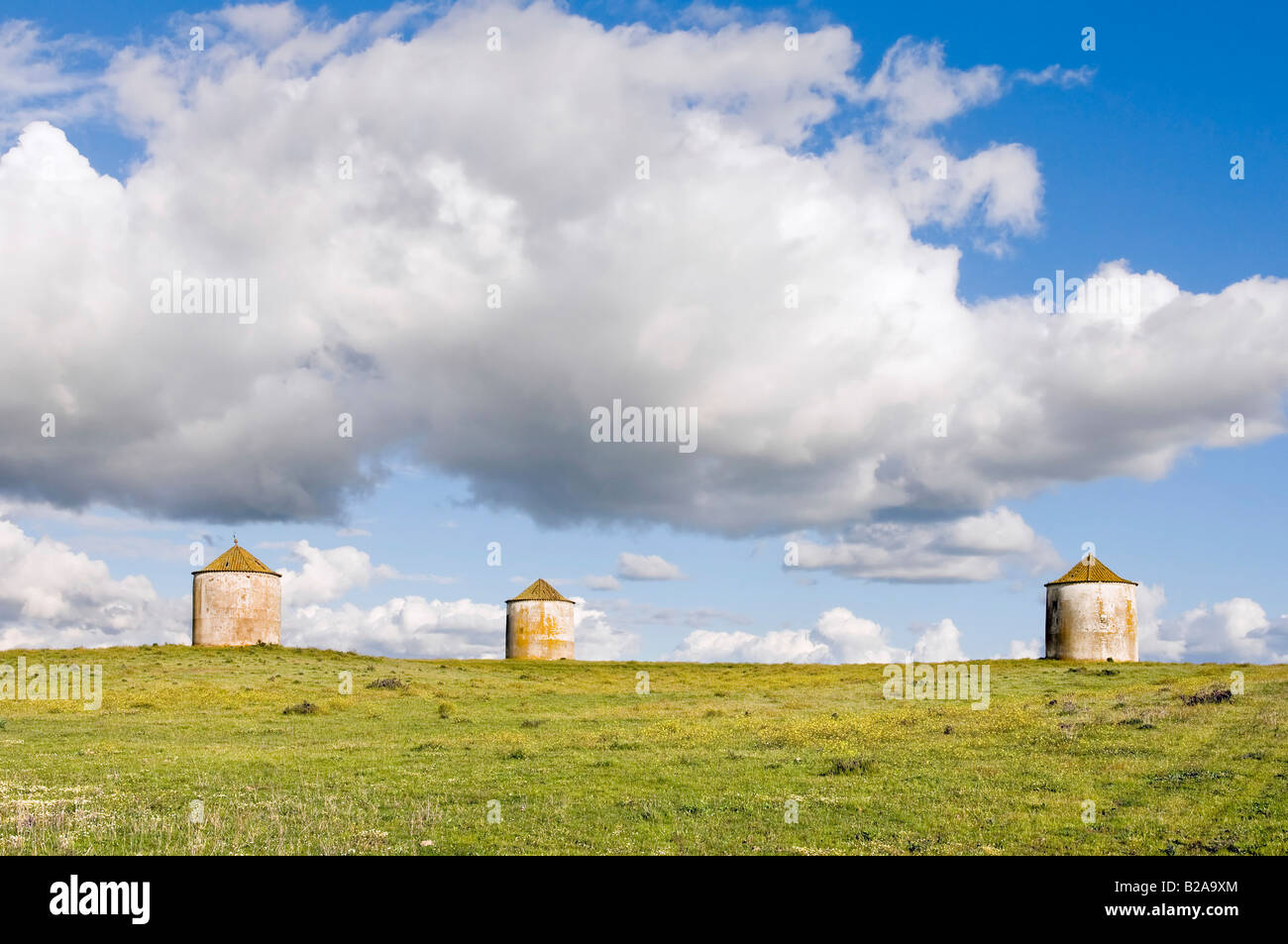 Three traditional agriculture silos in a field of yellow flowers ...