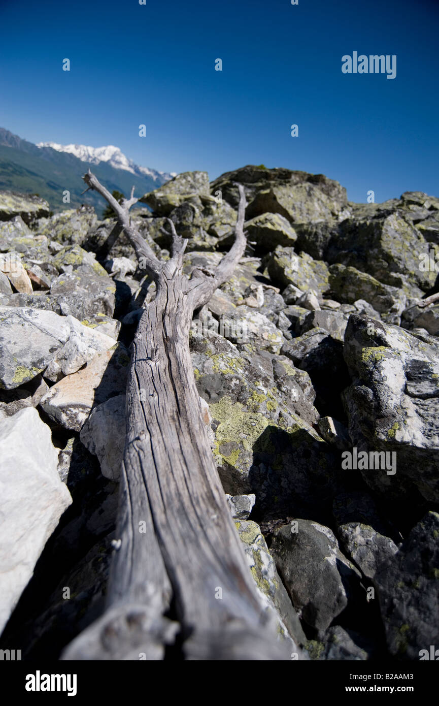 On scree slope hi-res stock photography and images - Alamy