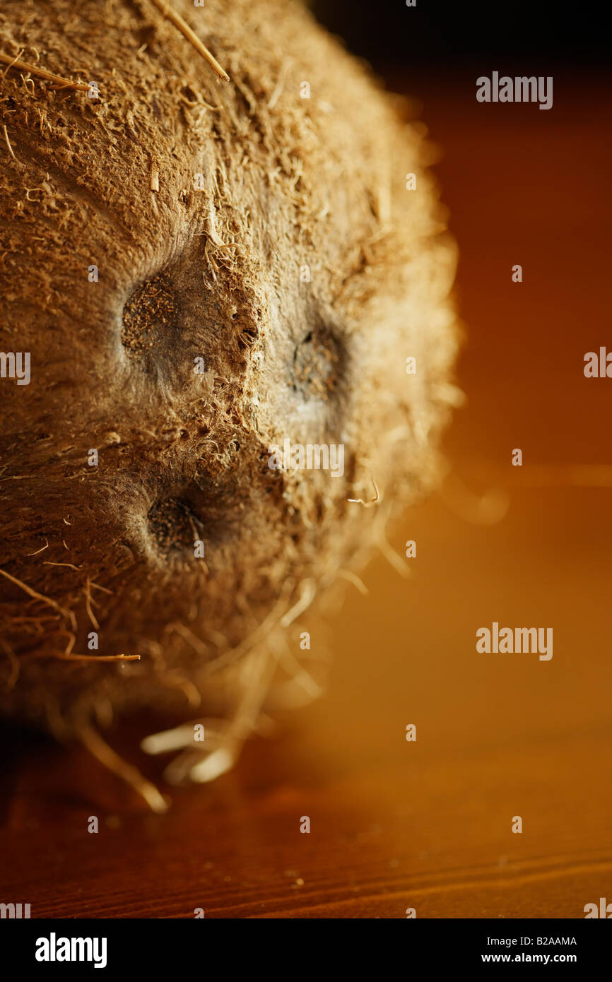 Coconut Shell High Resolution Stock Photography and Images - Alamy