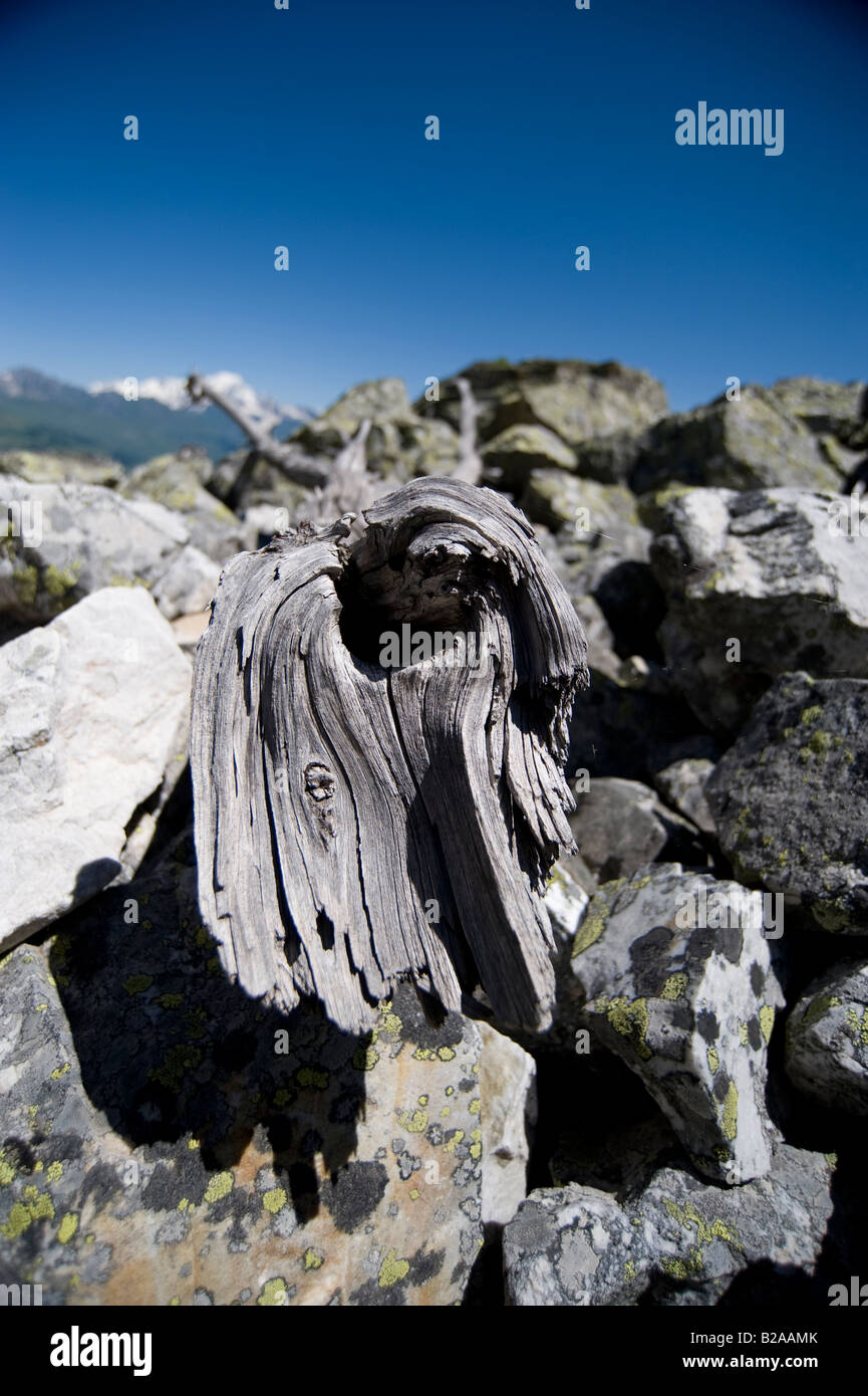 On scree slope hi-res stock photography and images - Alamy