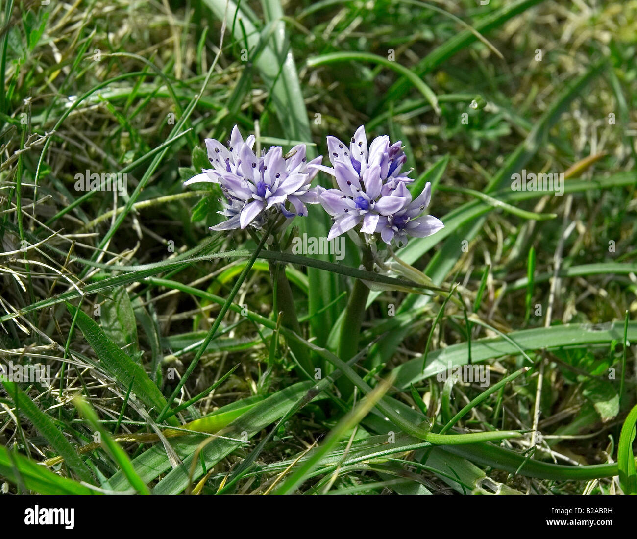 Killard point hi-res stock photography and images - Alamy