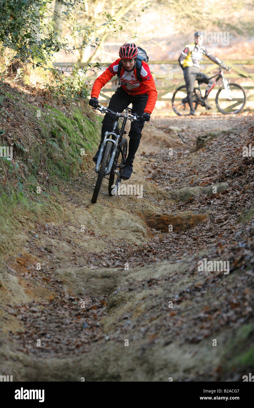 Well Worn Trail High Resolution Stock Photography and Images - Alamy
