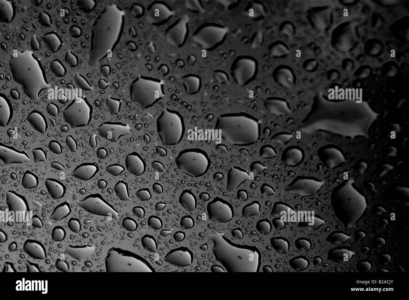 A macro of some beautiful water droplets over a dark background Shallow ...