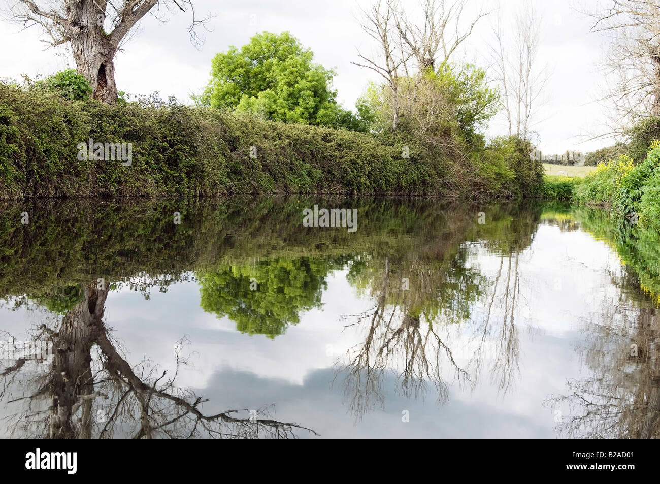 Untouched riverbank hi-res stock photography and images - Alamy