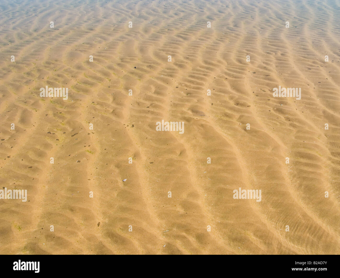sand ripples in a beach in summer Stock Photo - Alamy