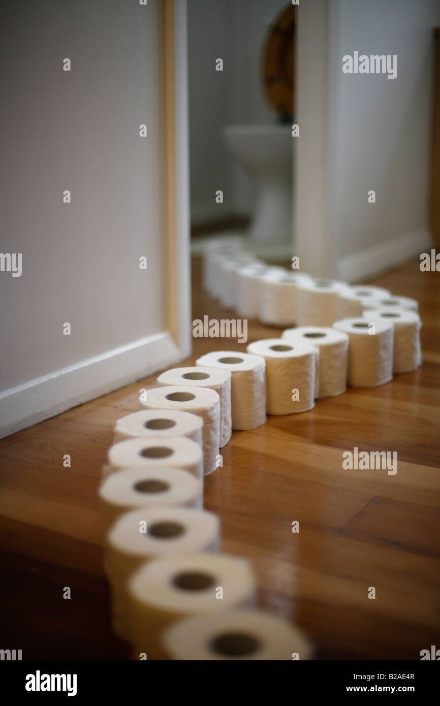 Line of toilet rolls lead to lavatory Stock Photo - Alamy
