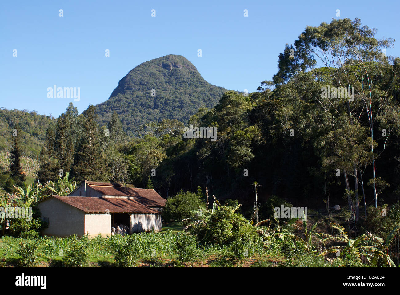 Poor farmhouse hi-res stock photography and images - Alamy