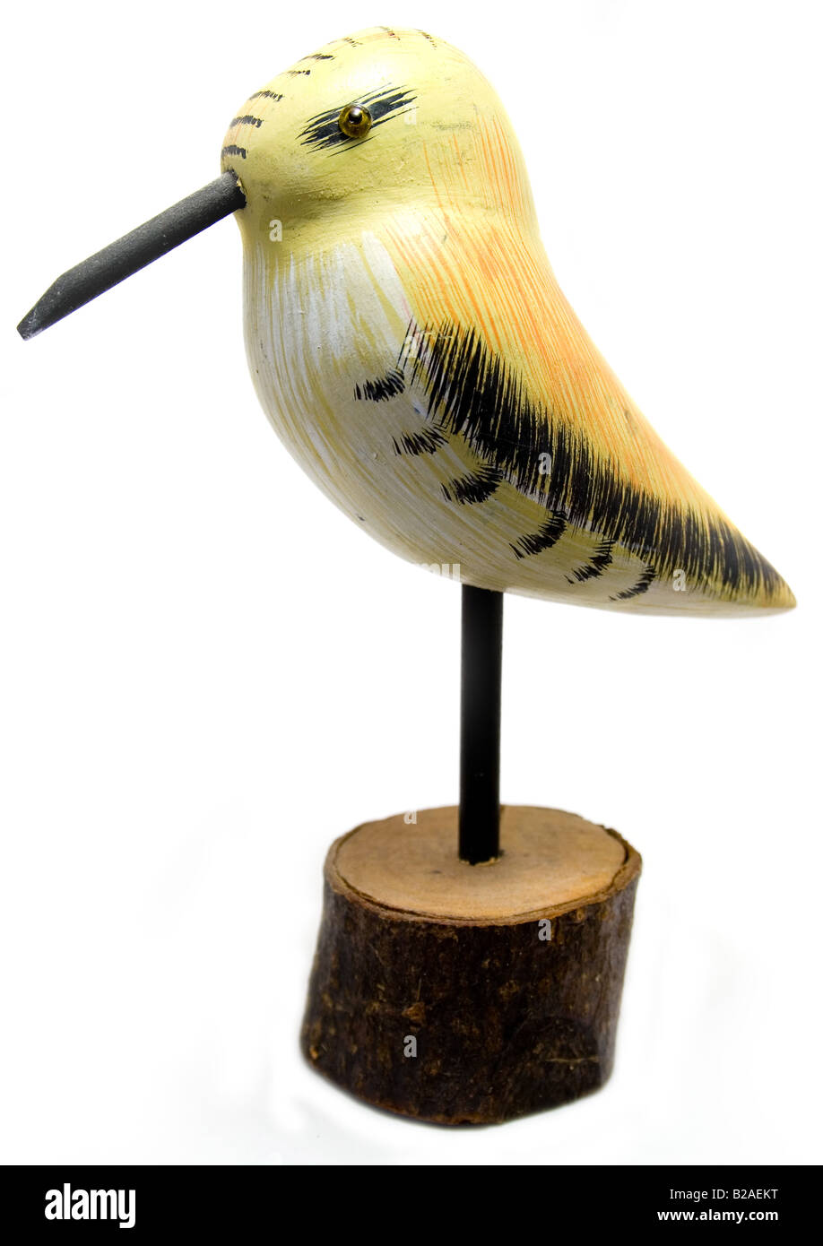 Bird model display Cut Out Stock Images & Pictures - Alamy