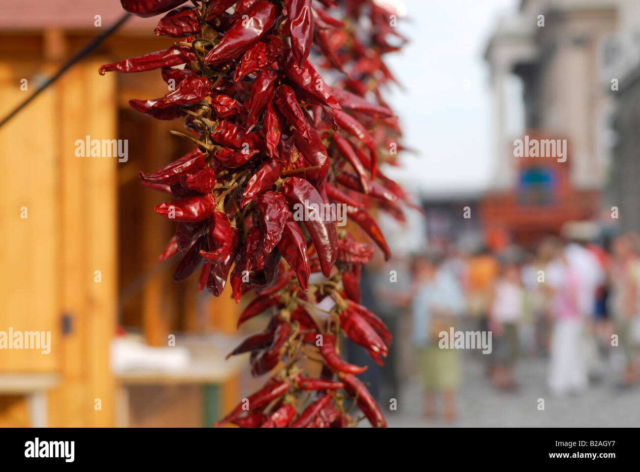 Daniel Pepper High Resolution Stock Photography and Images - Alamy