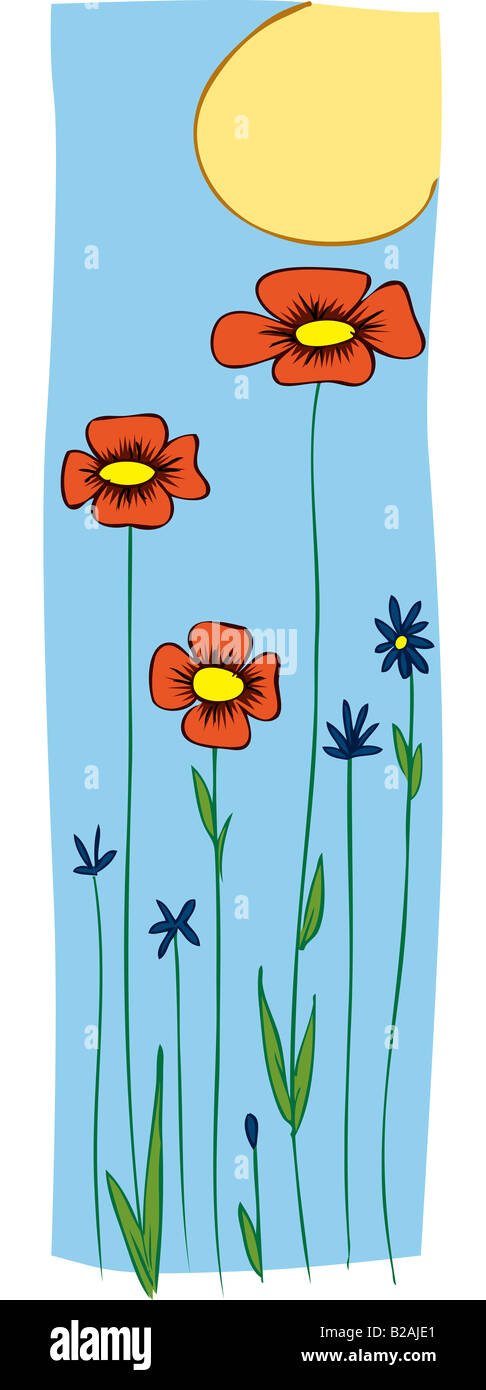 Cartoon poppy flower hi-res stock photography and images - Alamy