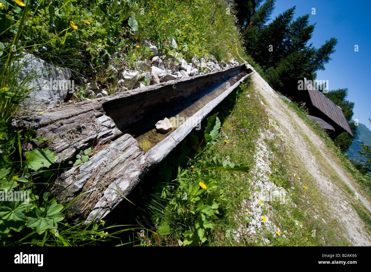 wooden cattle trough in the french alps Stock Photo - Alamy