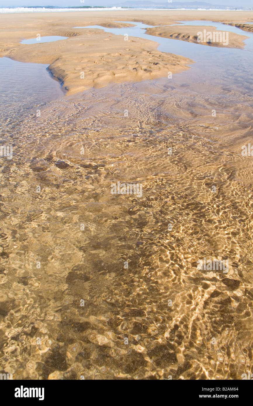 sand ripples in a beach in summer Stock Photo - Alamy