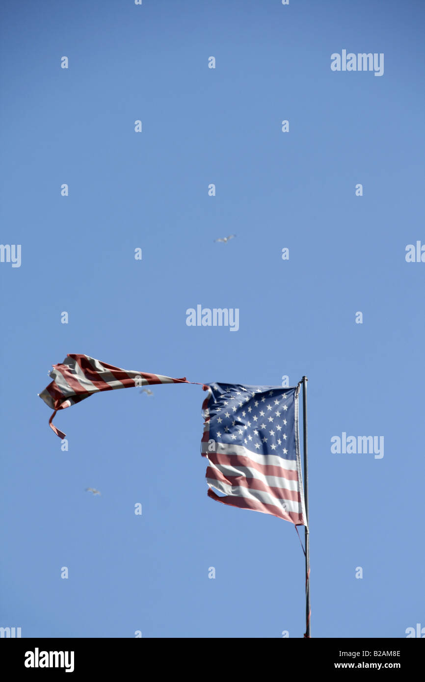one damaged american flag flying in blue sky Stock Photo - Alamy