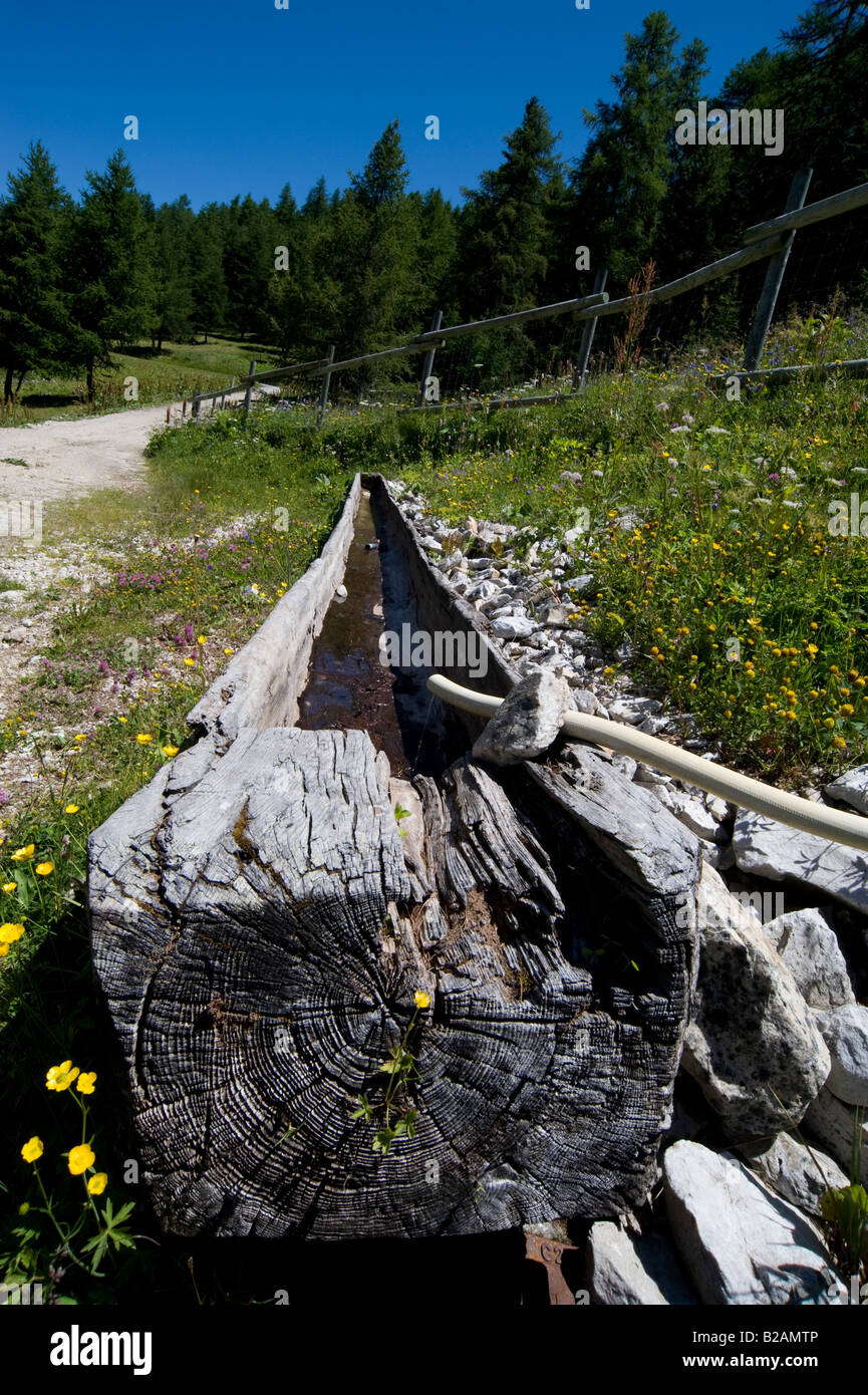 Wooden water trough in the alps hi-res stock photography and images - Alamy