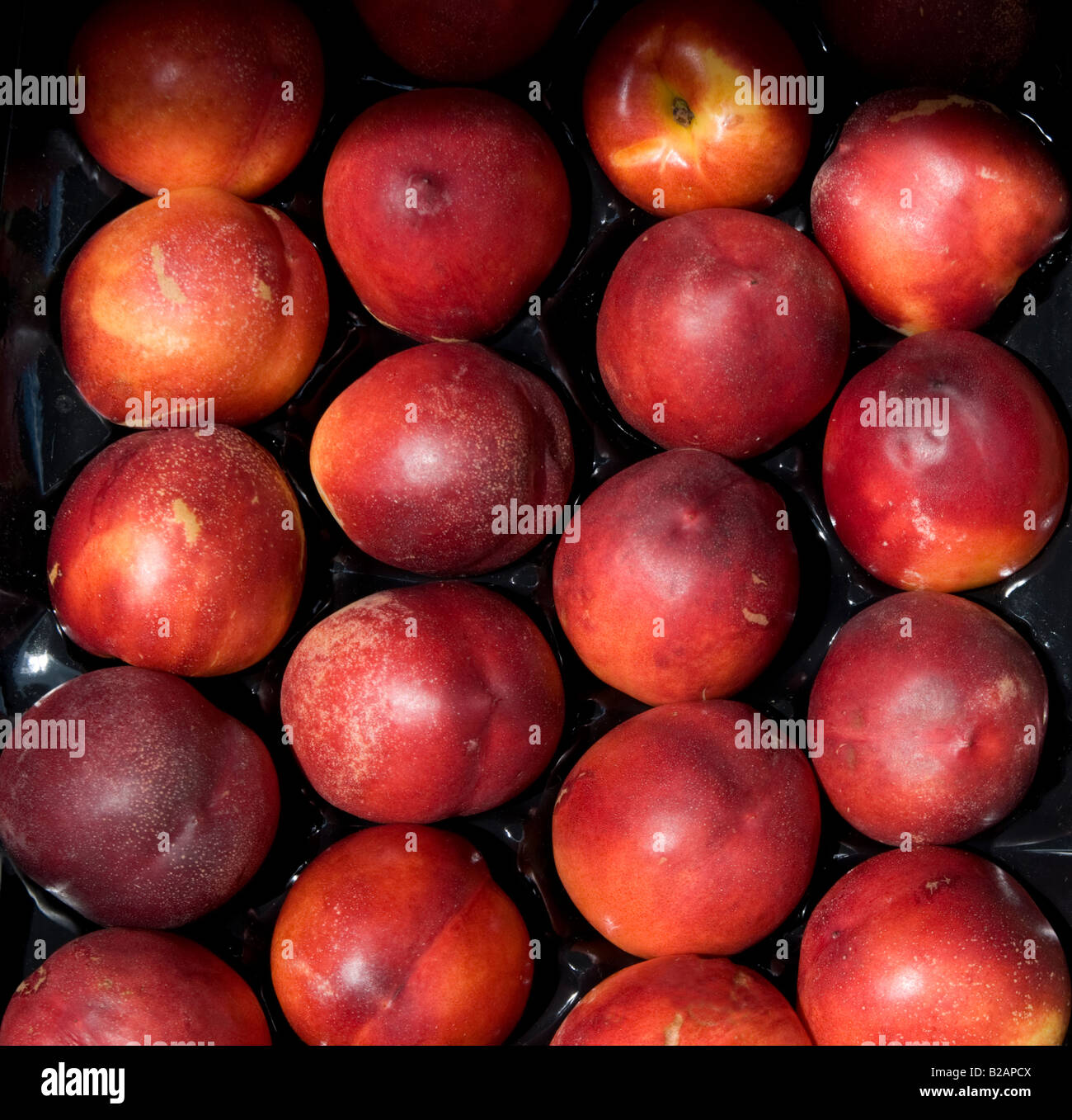 Fresh Nectarines on display Derbyshire England UK Stock Photo - Alamy