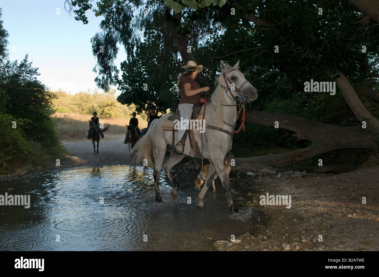 Israeli women riding horses in the Menashe Heights or Ramot Menashe ...