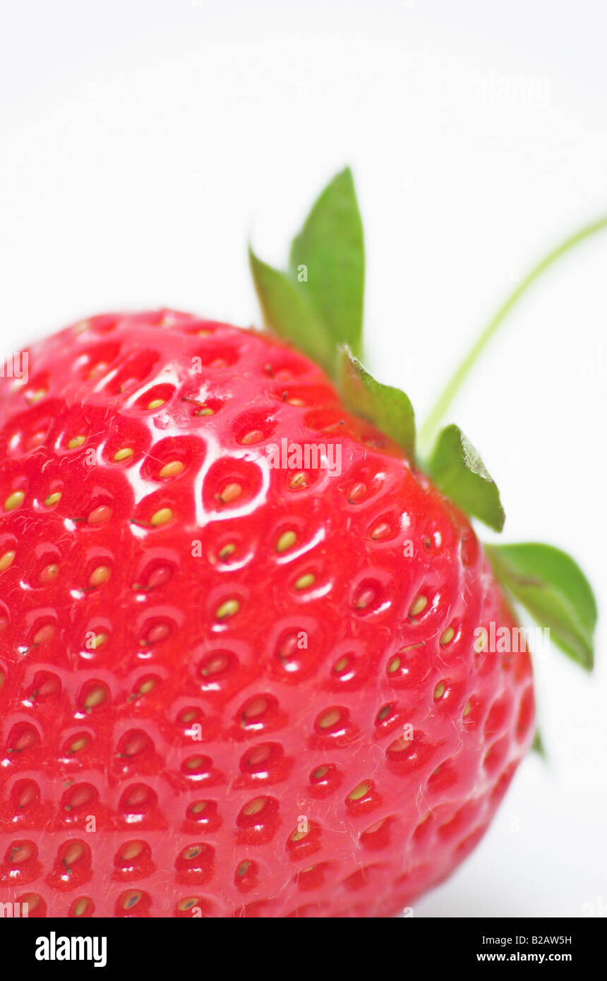 Stem fresh hi-res stock photography and images - Alamy