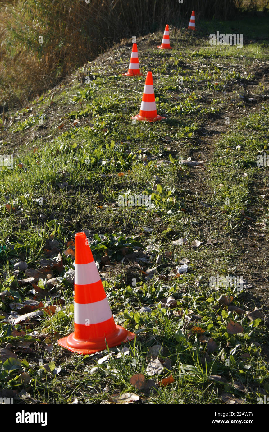 row of traffic cones in field on country lane Stock Photo - Alamy