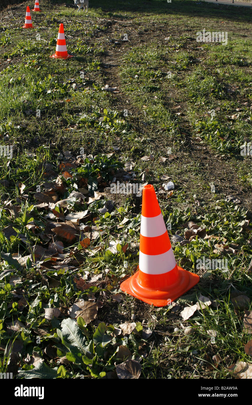 row of traffic cones in field on country lane Stock Photo - Alamy