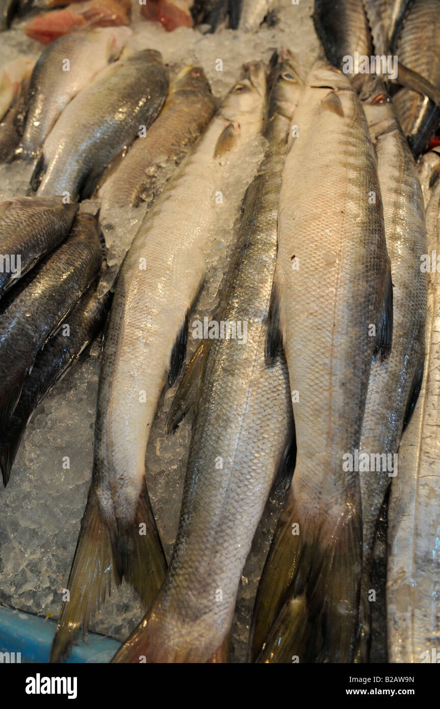 fresh fish for sale , mahachai market , mahachai station, samutsakhon ...