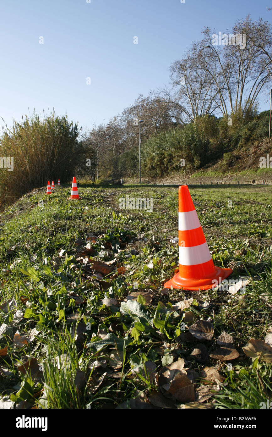 row of traffic cones in field on country lane Stock Photo - Alamy