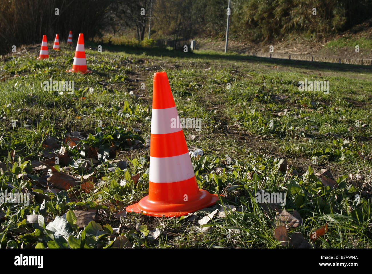 row of traffic cones in field on country lane Stock Photo - Alamy