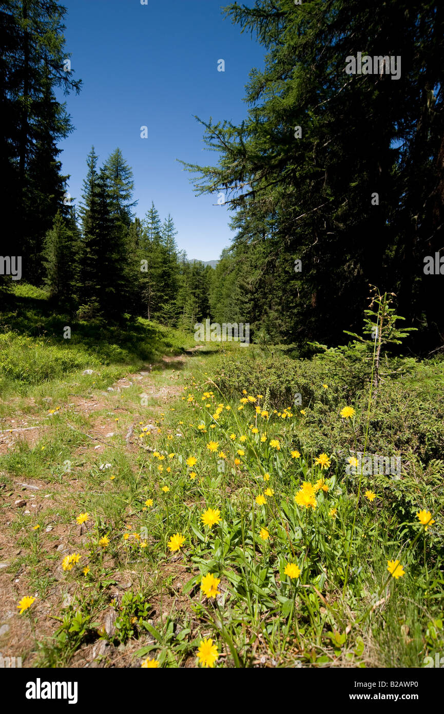 Walk through the french alps hi-res stock photography and images - Alamy
