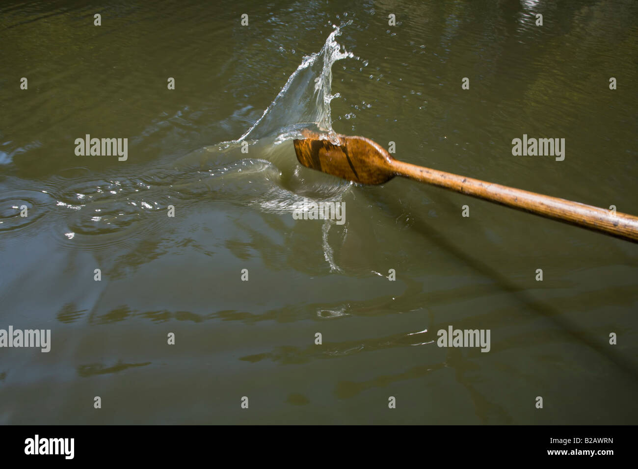 Close-up of oar in motion Stock Photo - Alamy