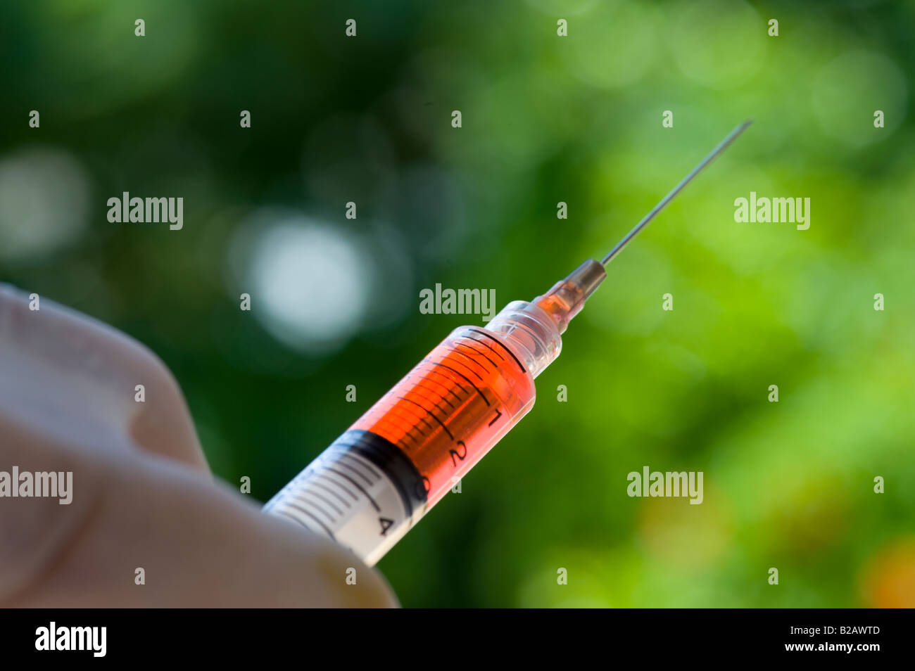 hand holding hypodermic needle with red fluid Stock Photo - Alamy