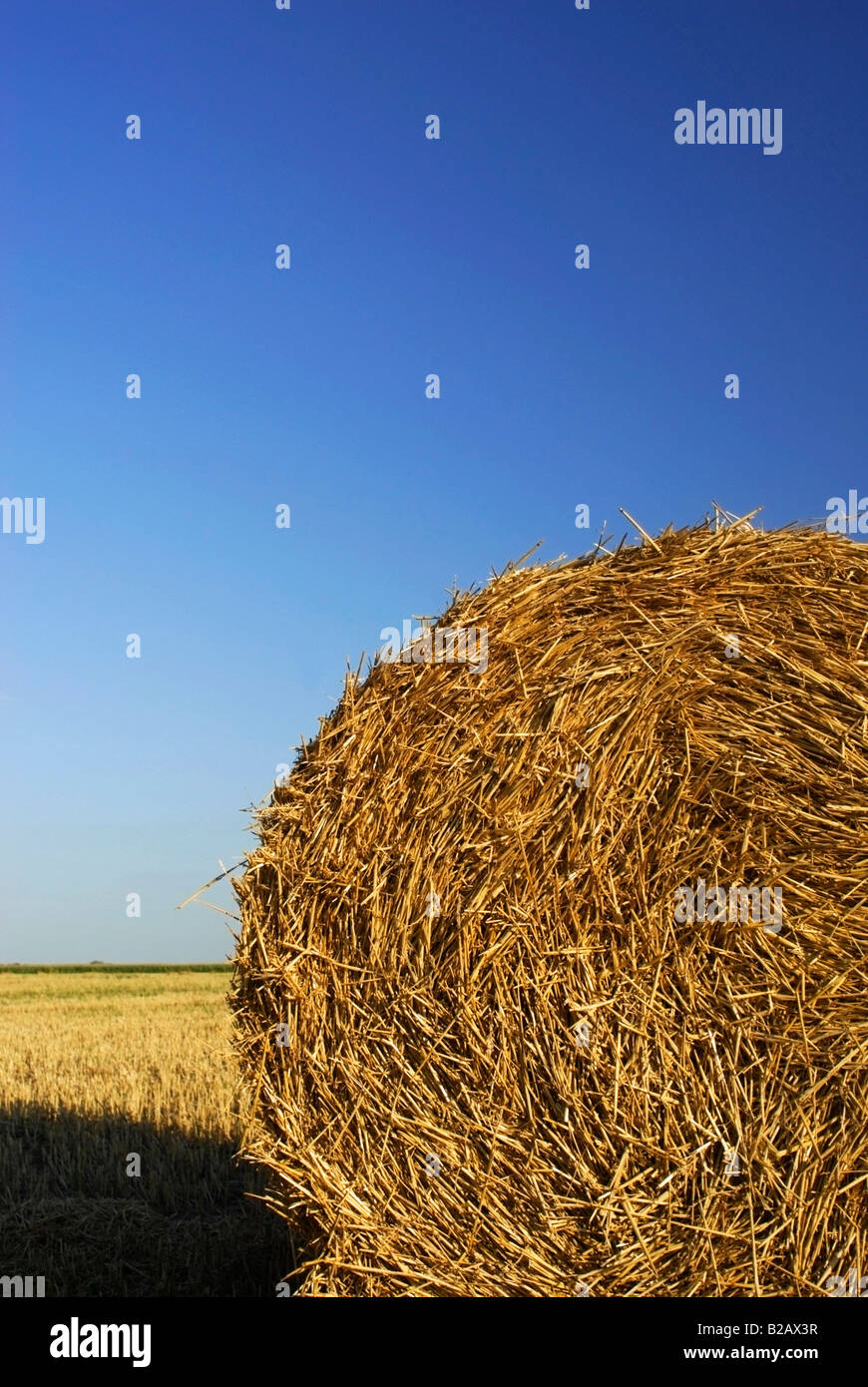 Cylinder shape hi-res stock photography and images - Alamy