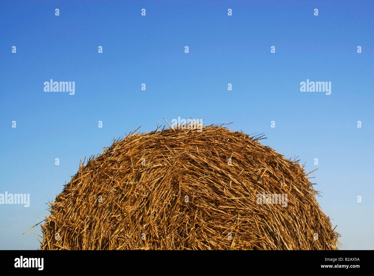 Cylinder shape hi-res stock photography and images - Alamy