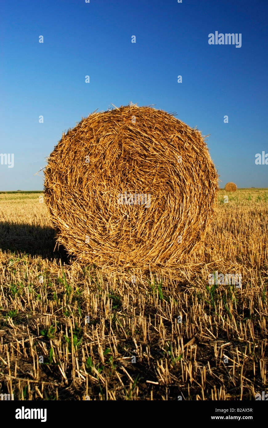 Cylinder shape hi-res stock photography and images - Alamy