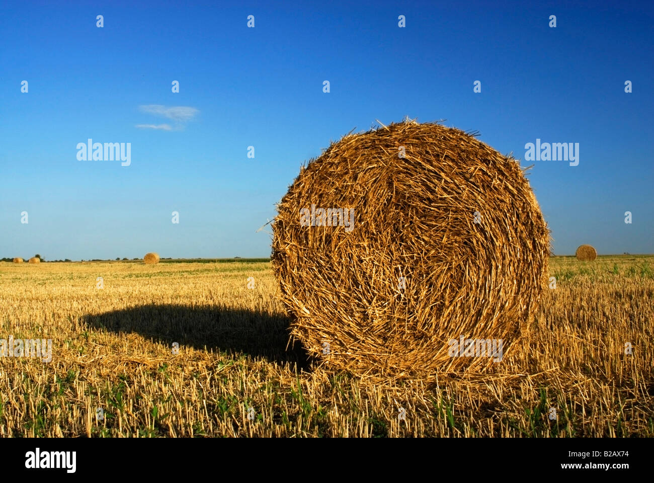 Cylinder Shaped Straw Bale Stock Photo - Alamy