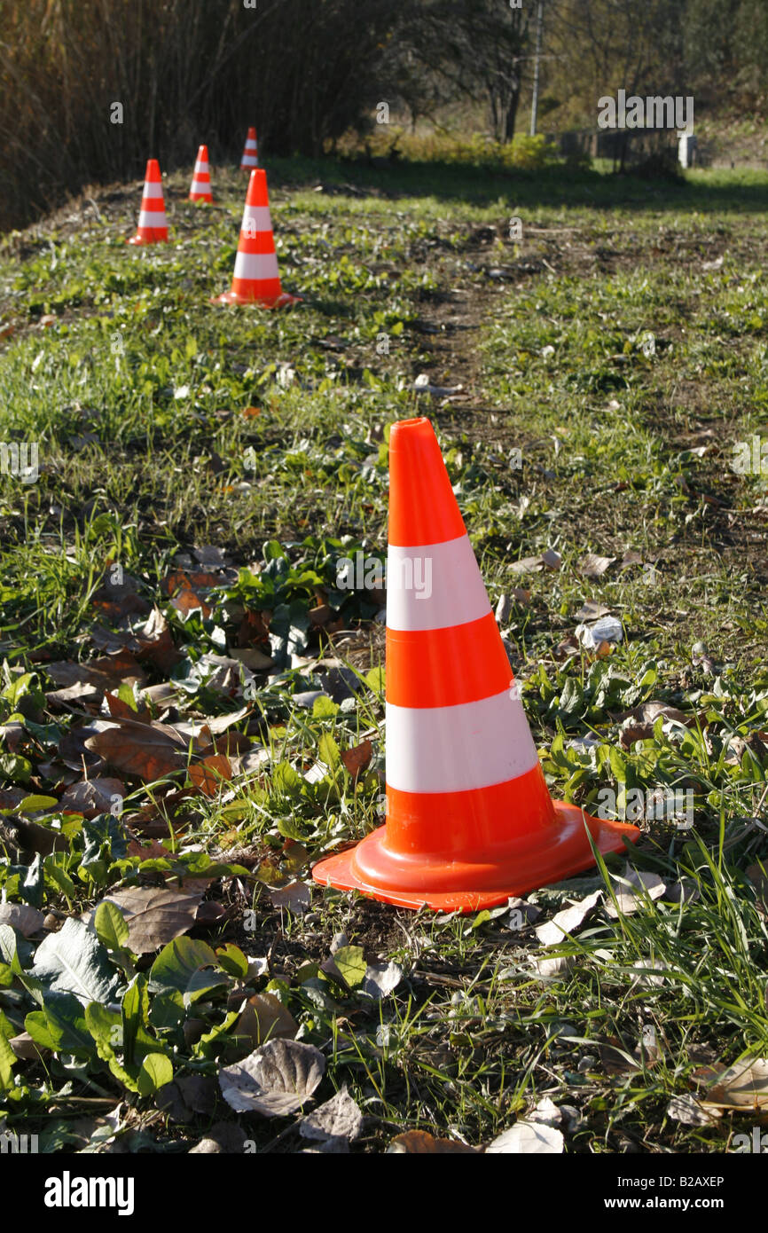 row of traffic cones in field on country lane Stock Photo - Alamy