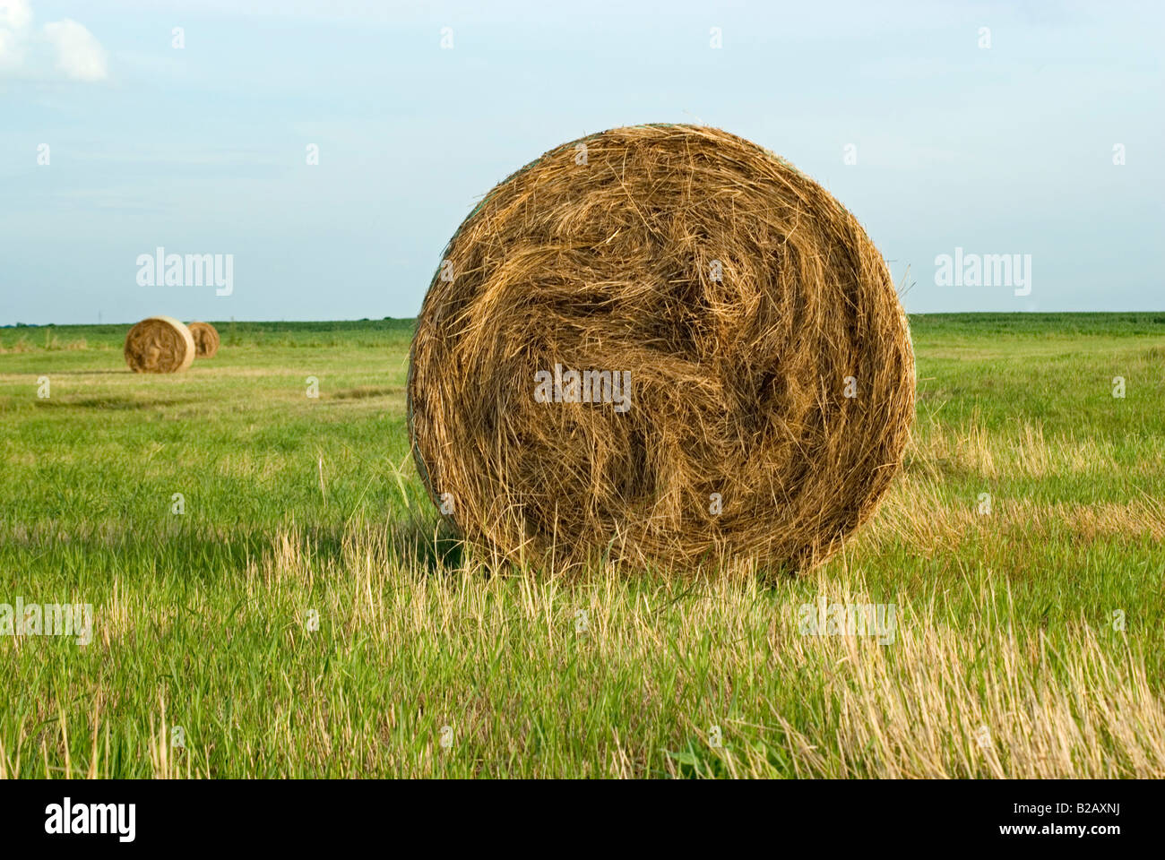 Cylinder Shaped Straw Bale in field Stock Photo - Alamy
