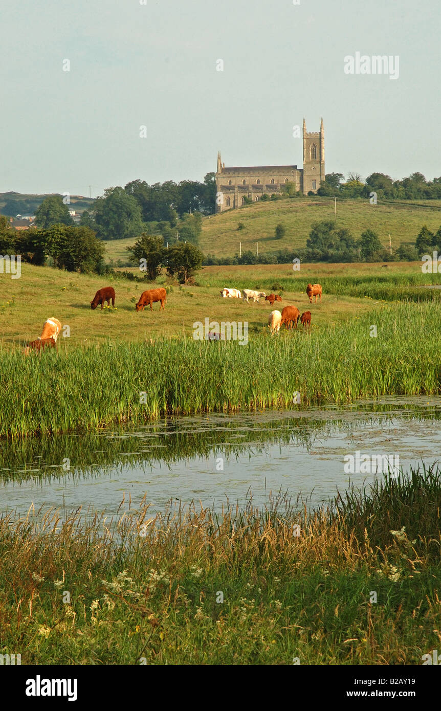 Church of Ireland St Patricks Cathedral Downpatrick Northern Ireland ...