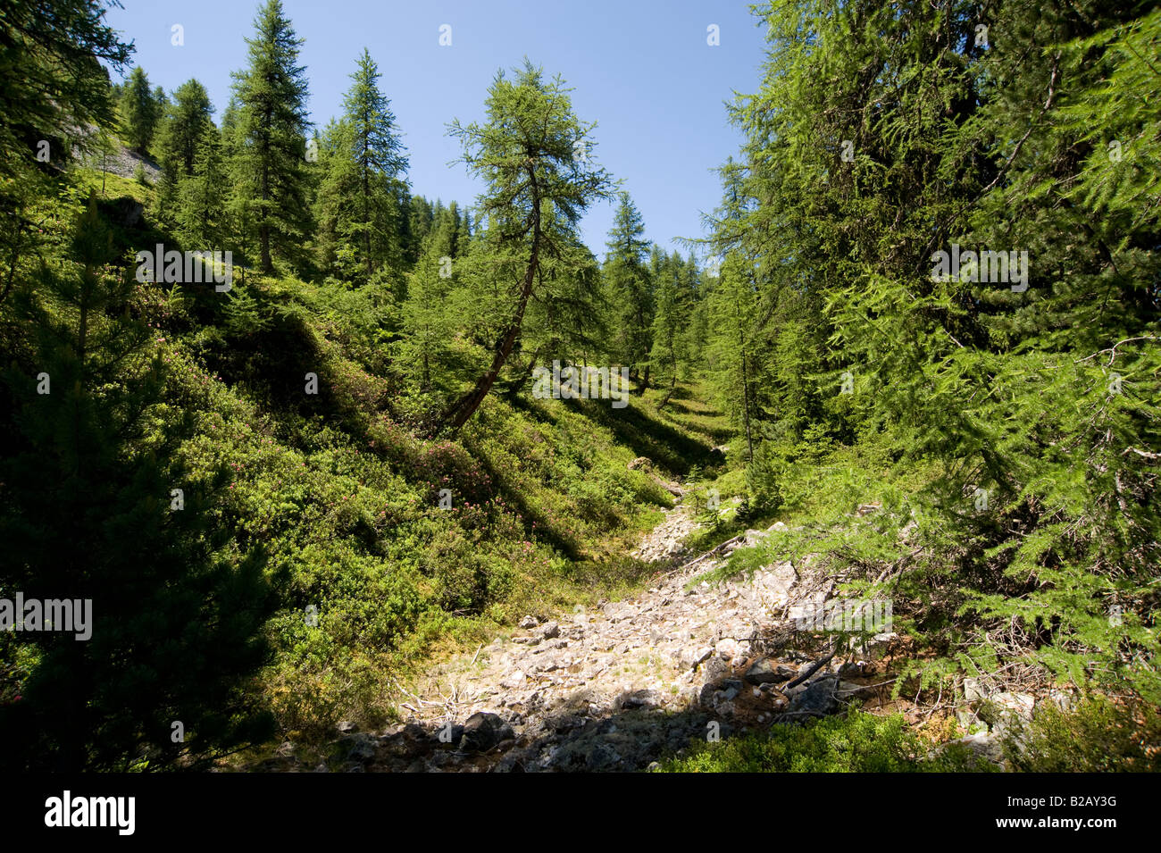 Walk through the french alps hi-res stock photography and images - Alamy