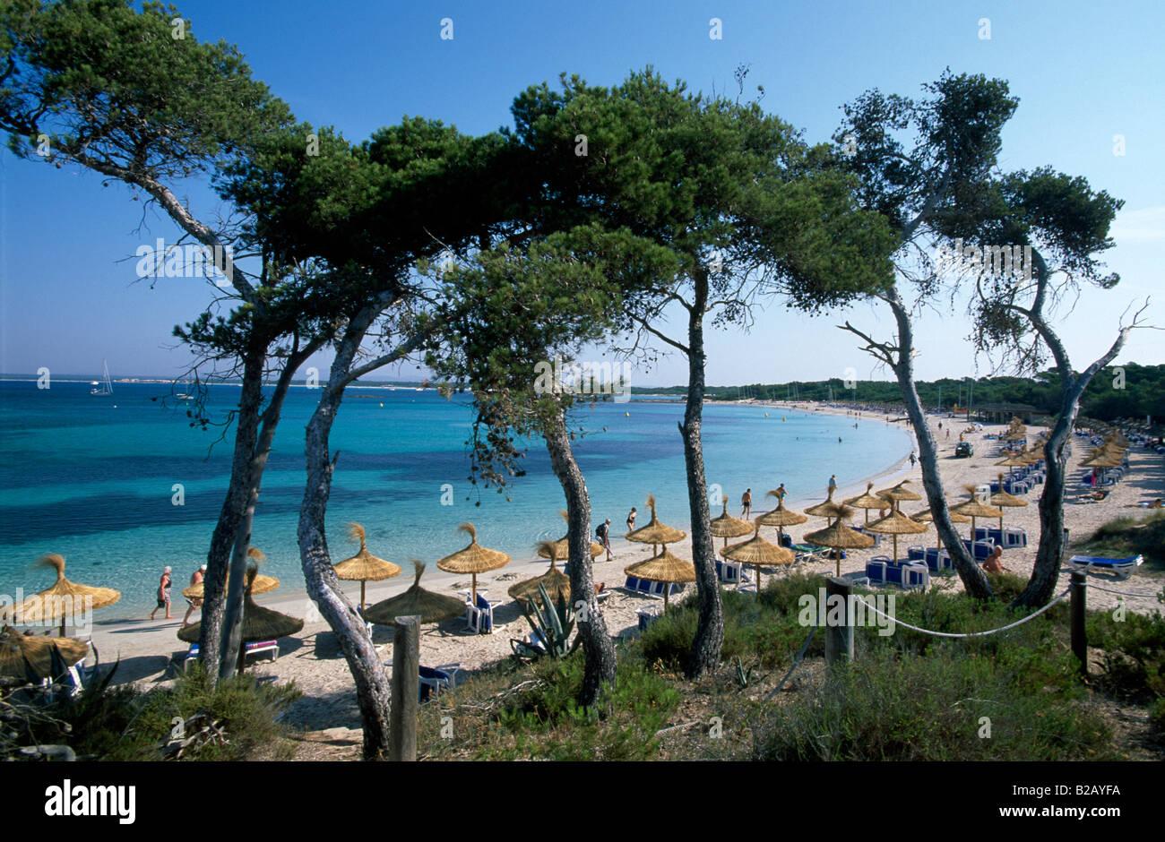Es Trenc Mallorca Balearic Islands Spain Stock Photo - Alamy