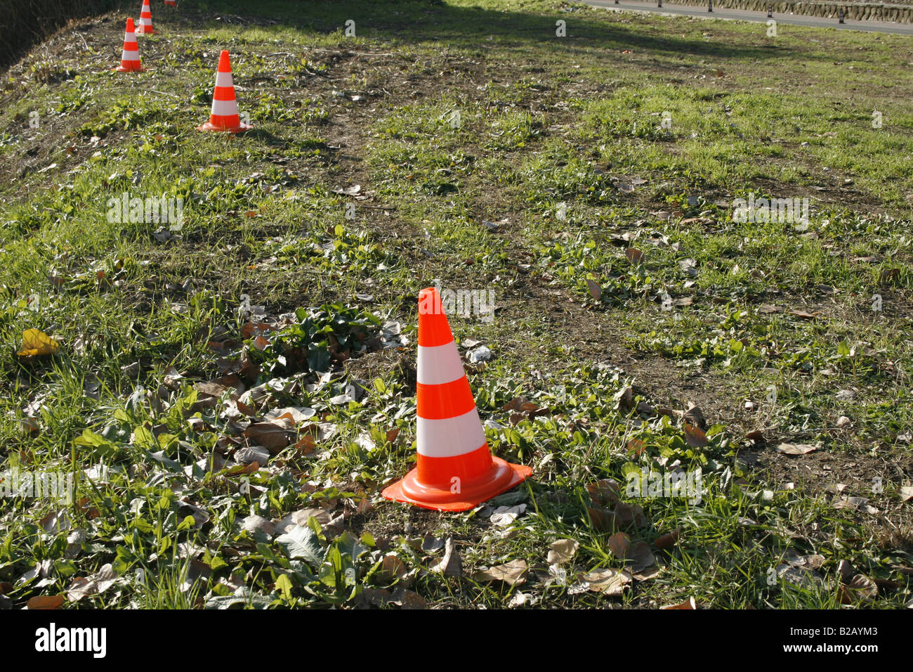 row of traffic cones in field on country lane Stock Photo - Alamy