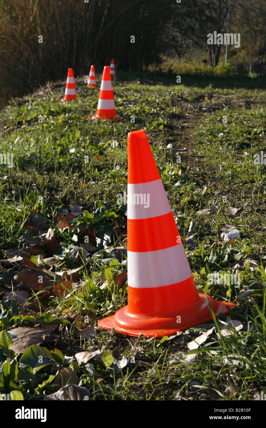 row of traffic cones in field on country lane Stock Photo - Alamy