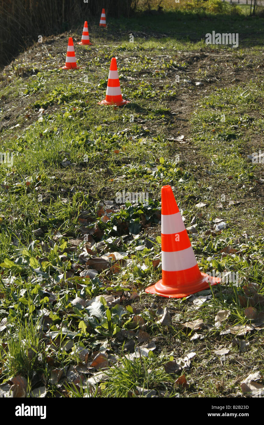 row of traffic cones in field on country lane Stock Photo - Alamy
