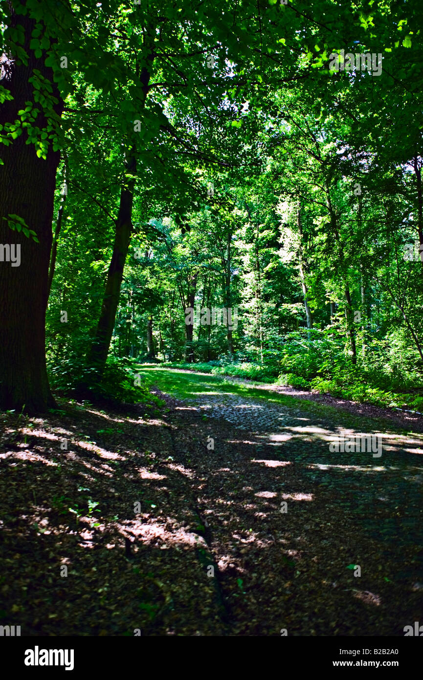 Sun patches on green hi-res stock photography and images - Alamy
