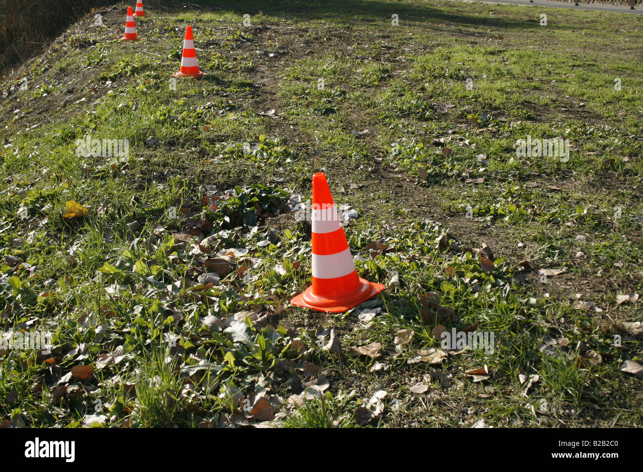 row of traffic cones in field on country lane Stock Photo - Alamy