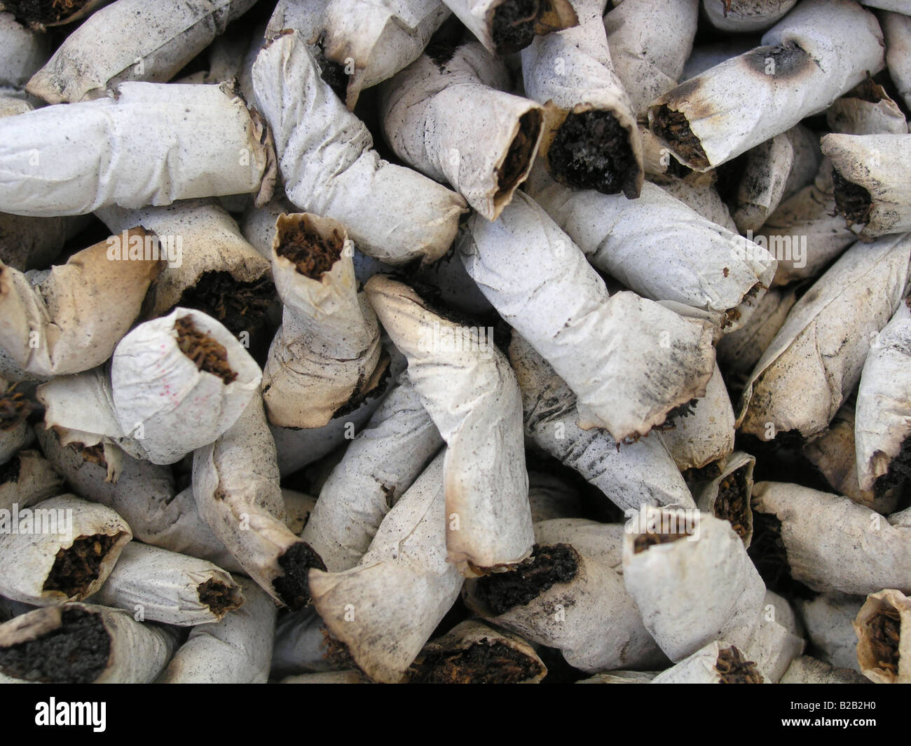 mass of cigarette stubs Stock Photo - Alamy